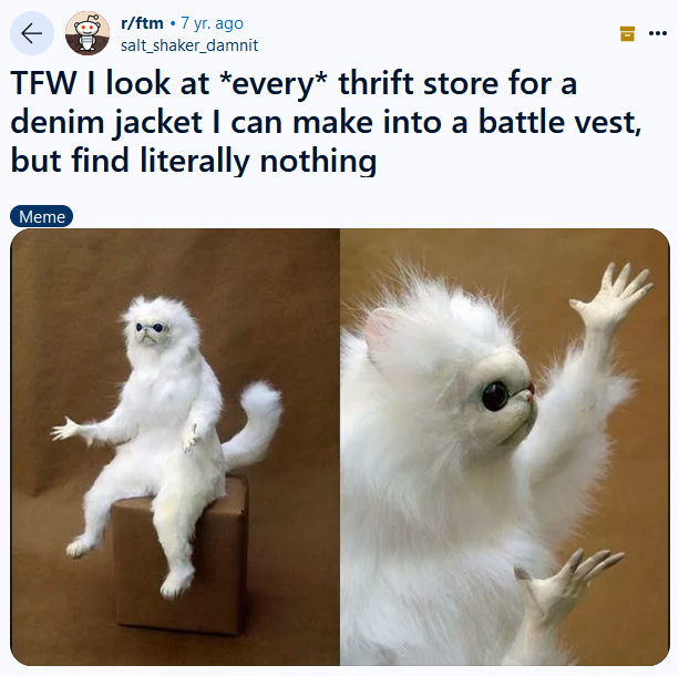 More cat memes: