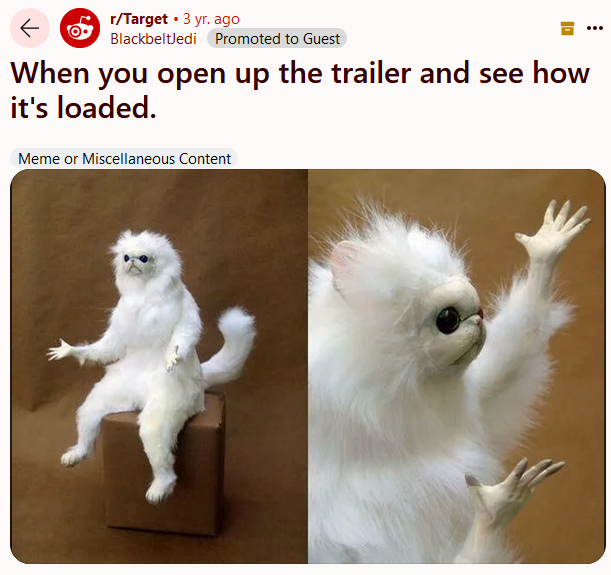 More cat memes: