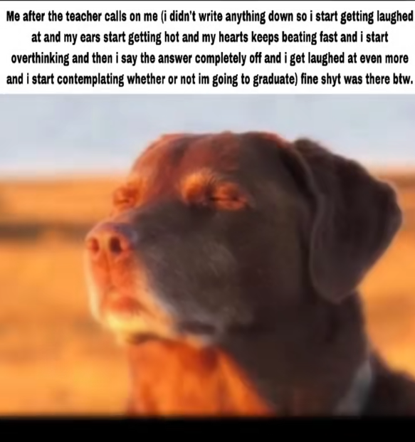 The Cooked Dog Closing His Eyes Halfway meme, explained