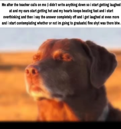 The Cooked Dog Closing His Eyes Halfway meme, explained