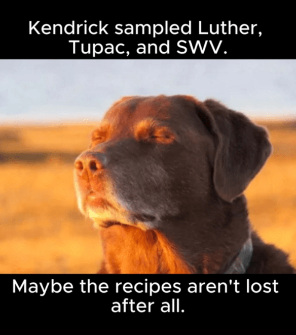 The Cooked Dog Closing His Eyes Halfway meme, explained