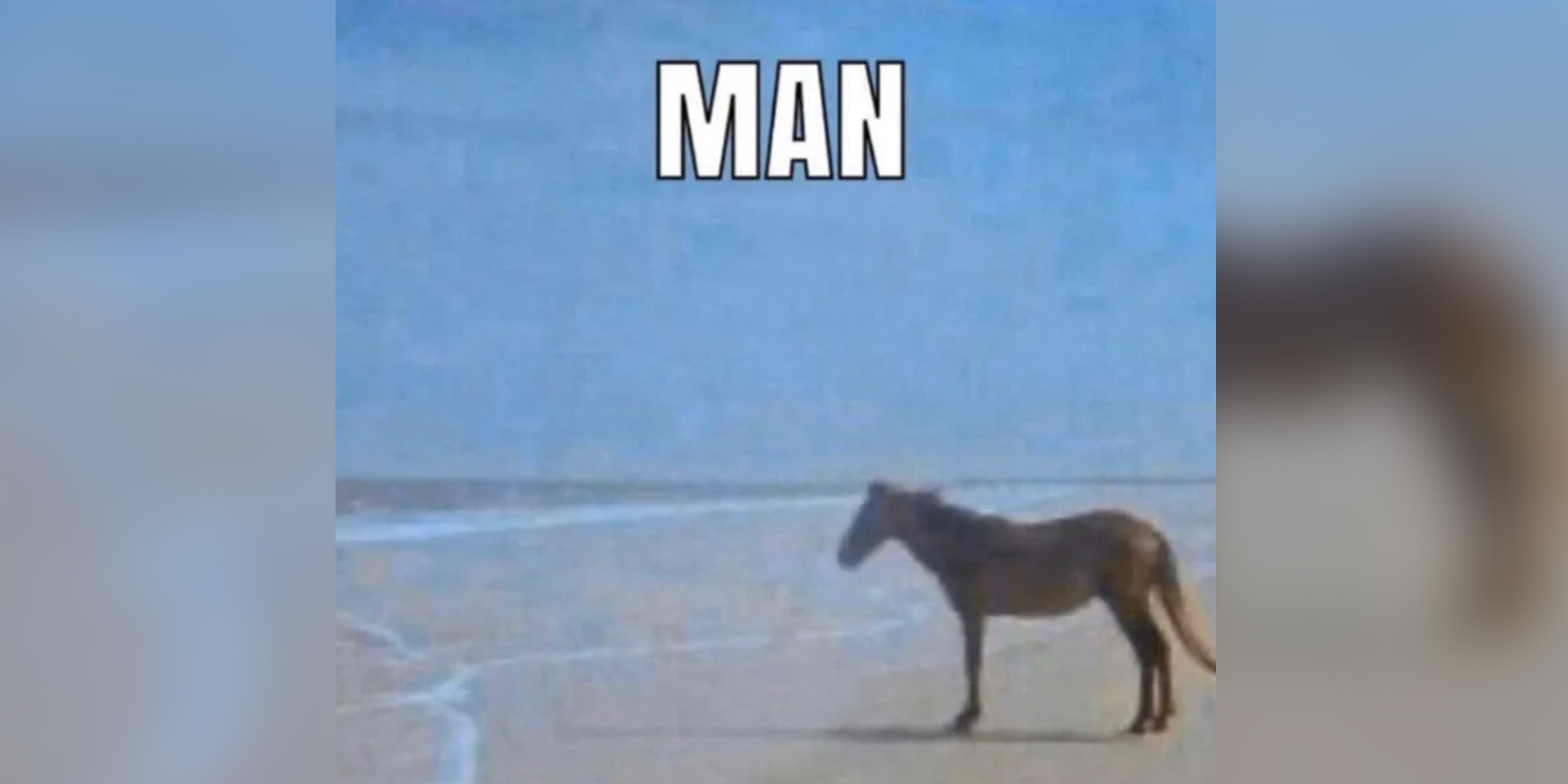 The Man Horse Meme: part man, part horse, all meme