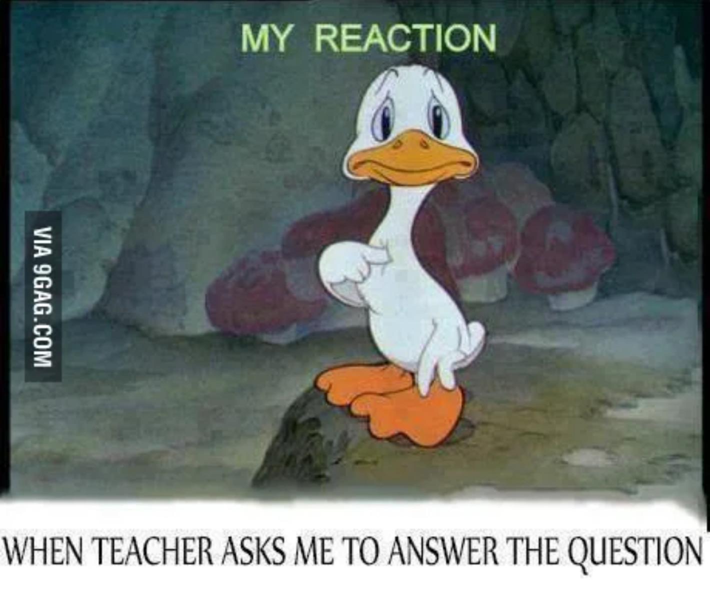 The ‘Sad Duck Pointing At Himself’ Meme, Explained