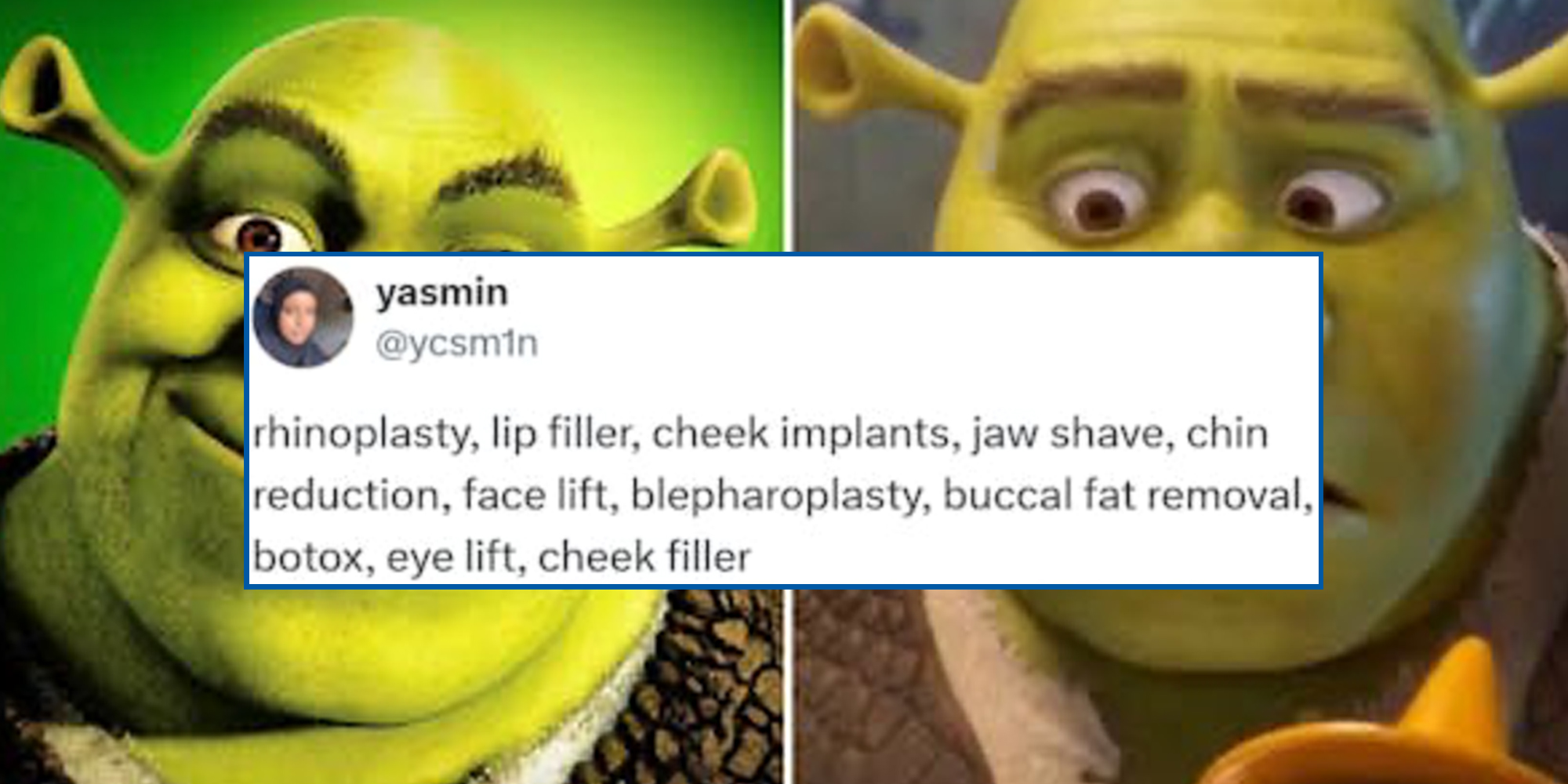 31 'Shrek 5' memes roasting the characters' new look