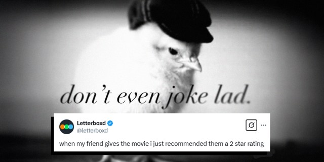 Don't Even Joke Lad: How A Fandom Meme Escaped Containment