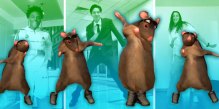 The Rat Dance Meme Is Taking Over TikTok