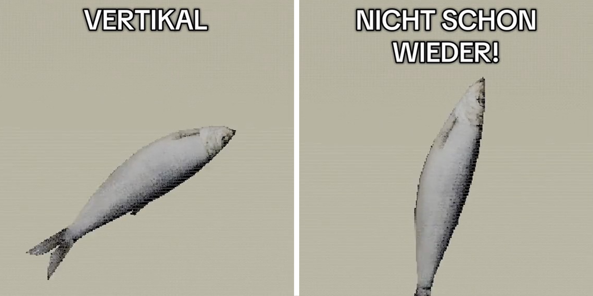 What is the Vertikal Rotierender Fisch meme and why is it haunting ...