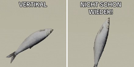 What is the Vertikal Rotierender Fisch meme and why is it haunting ...