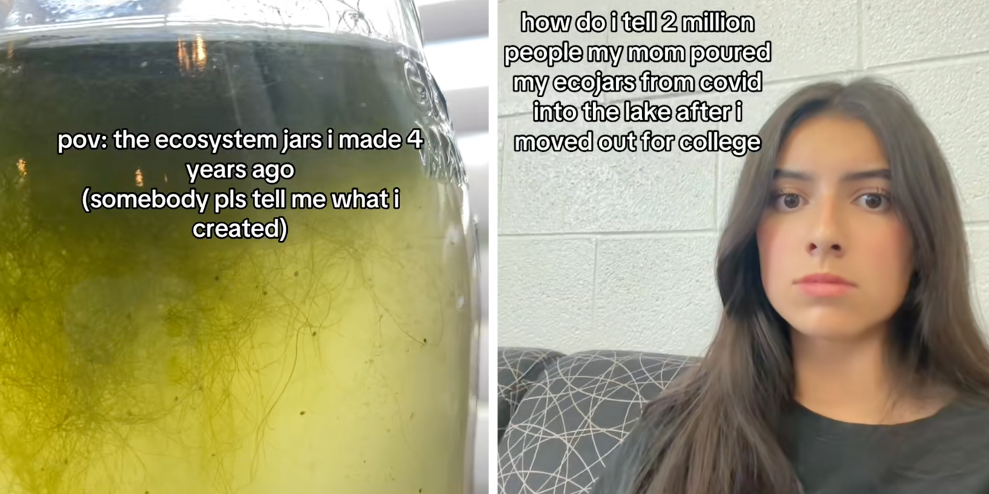 Woman's Ecosystem Jar Goes Viral