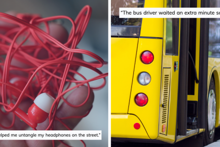 Wholesome Memes - The Daily Dot