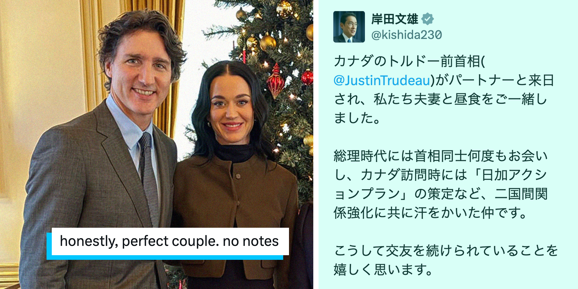 Justin Trudeau and Katy Perry hard launch relationship on social