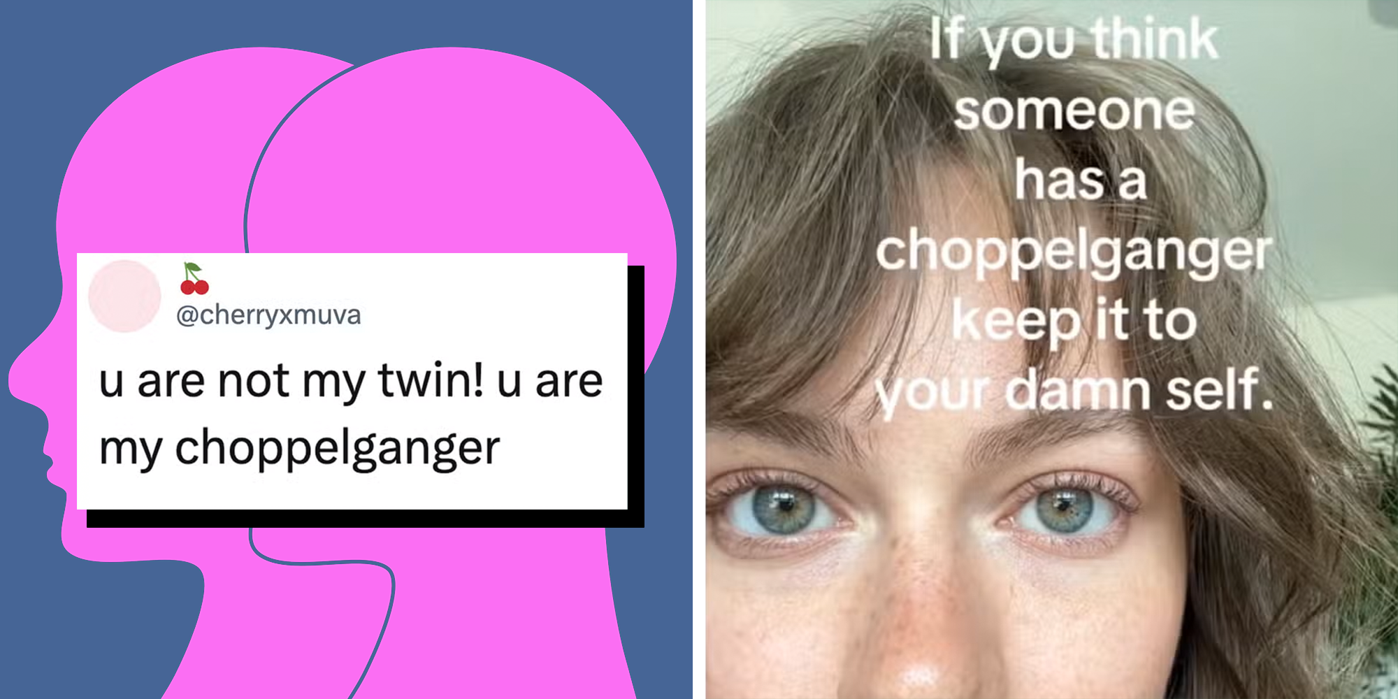 What does choppelganger mean? Gen Z's favorite diss explained