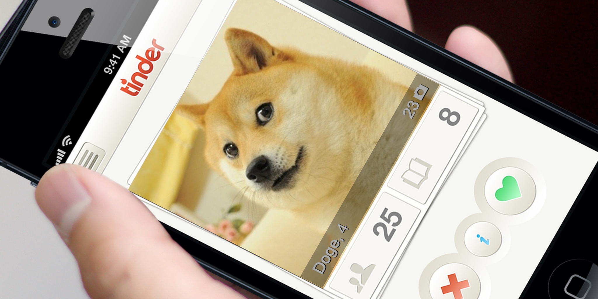 A lonely doge is looking for love on Tinder