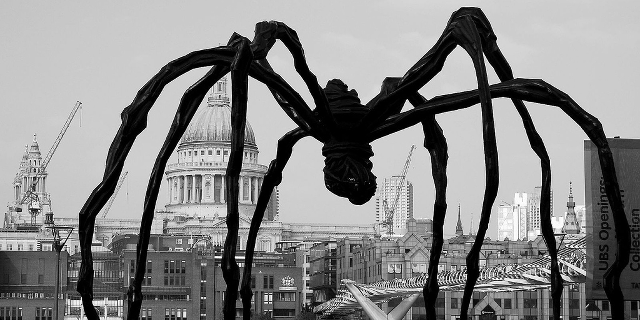 The itsy bitsy saga of Tumblr's Spiders Georg